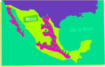 Brenda Regina Aguirre Ramirez: Práctica de mariposa monarca y el bosque ...