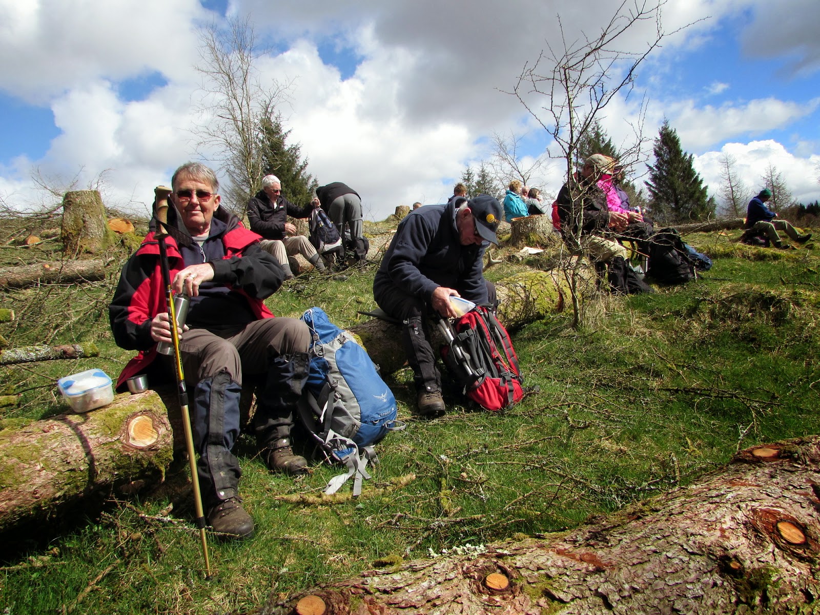 The Glebe Blog: Wigtownshire Ramblers Two Walks - Wood of Cree to Loch ...