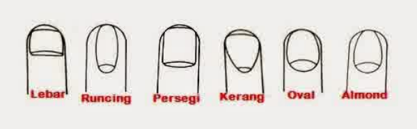 Catatan Volunteer: Menilai Bentuk Kuku dan Kepribadian