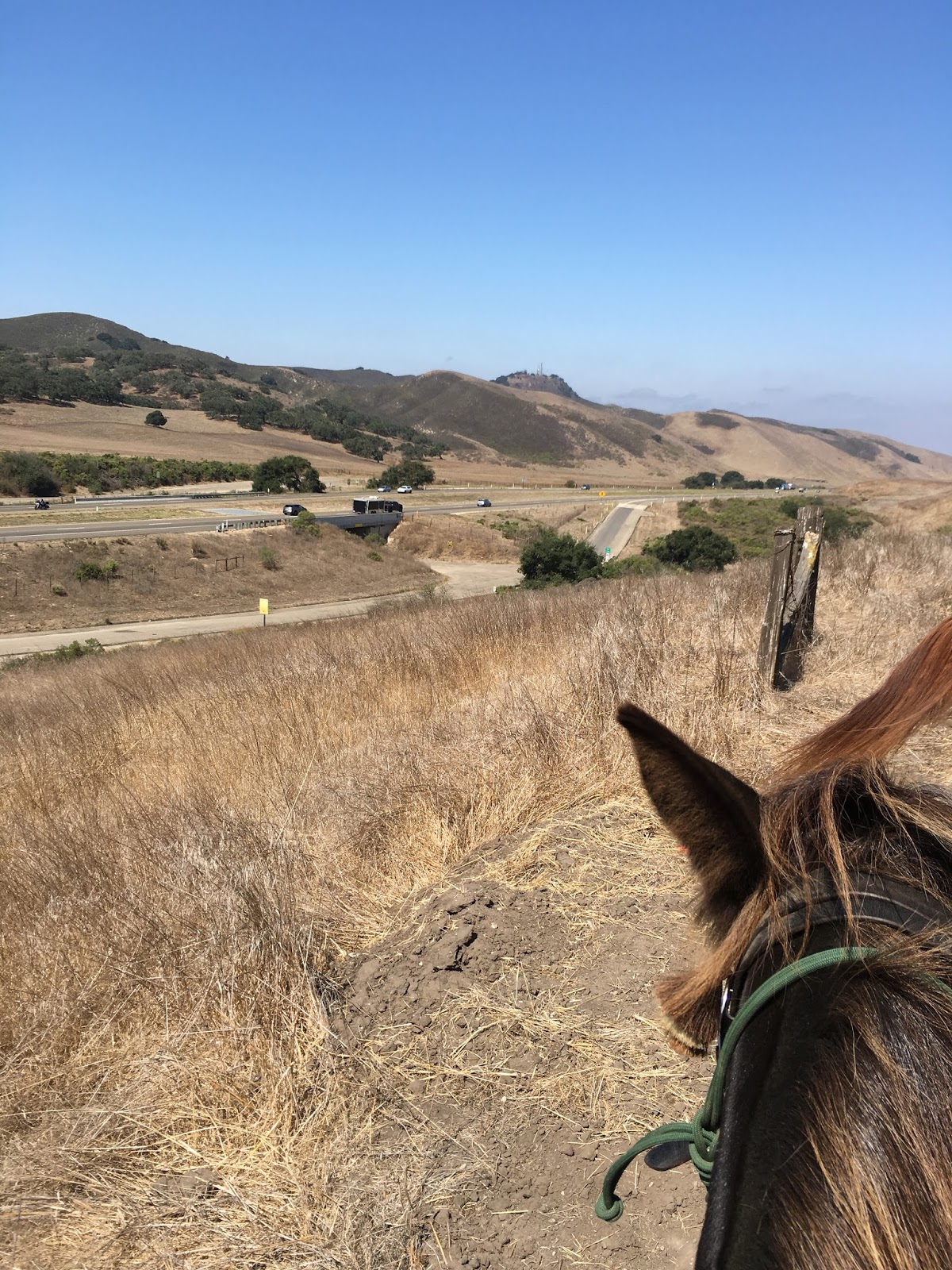 MuleTrail: 2017/9/9 Los Flores Ranch Park