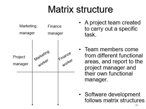 Mr McGowan's Learning Blog: Matrix Structure - Higher Business Management