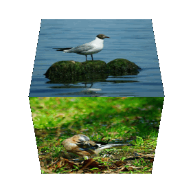 Narzędzia i aplikacje internetowe: BlogGif