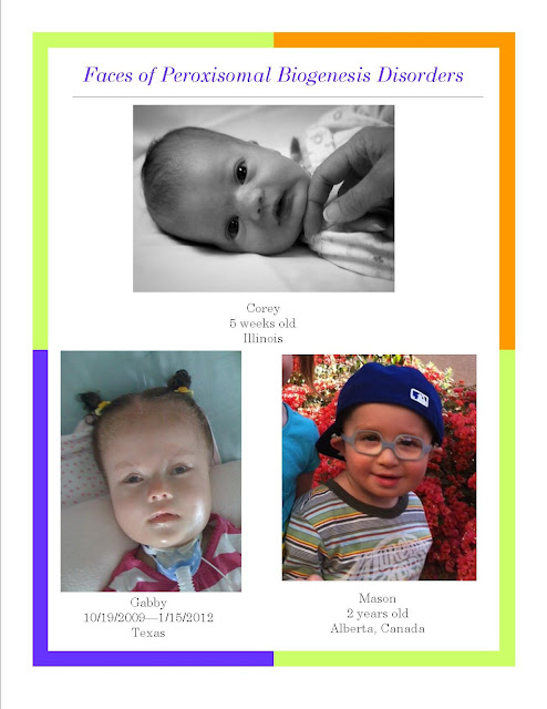 Faces of Peroxisomal Biogenesis Disorders