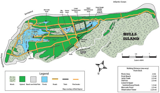 C Campbell's Fine Art: Trip to Bull Island 5_13