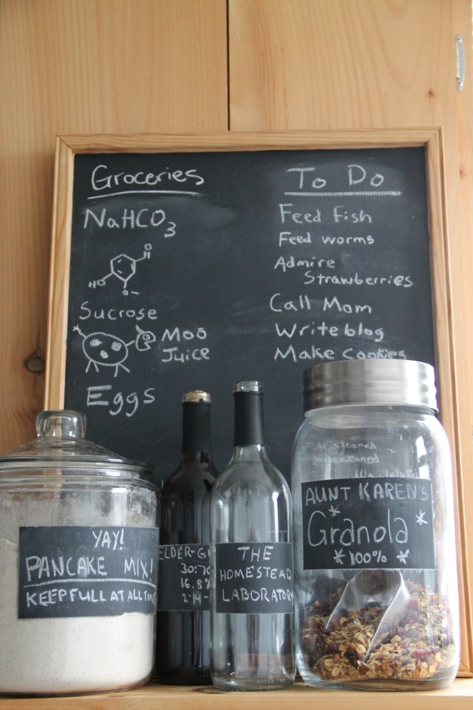 The Homestead Laboratory: Chalkboard Labeling