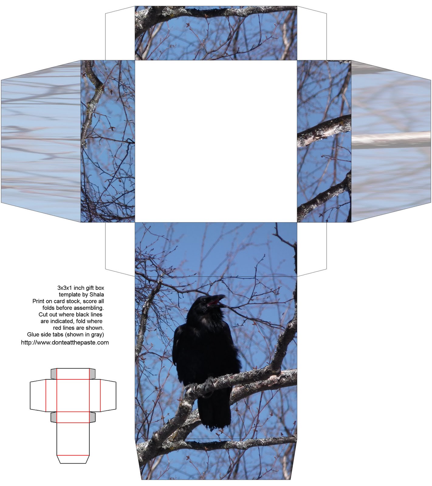 Don't Eat the Paste: Corvid Boxes- Magpie and Raven