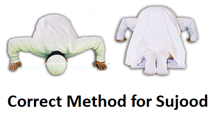 Correct method for Sujood ~ Hadith Quote