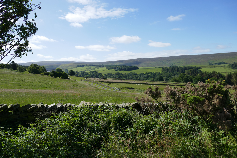 conradwalks: Littledale and Mallowdale