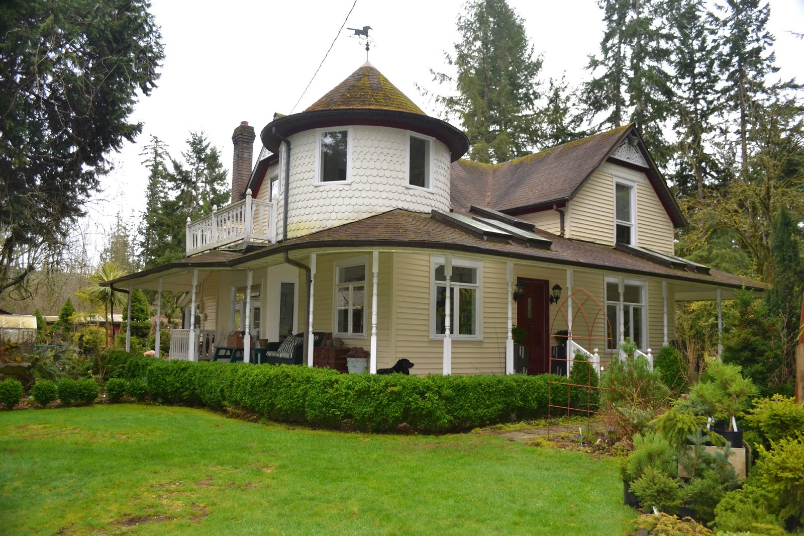 The Outlaw Gardener: A Winter Visit to The Old Goat Farm