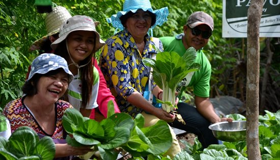 INOPACAN, LEYTE and the INOPACNONS: Upland farmers in Inopacan earning ...