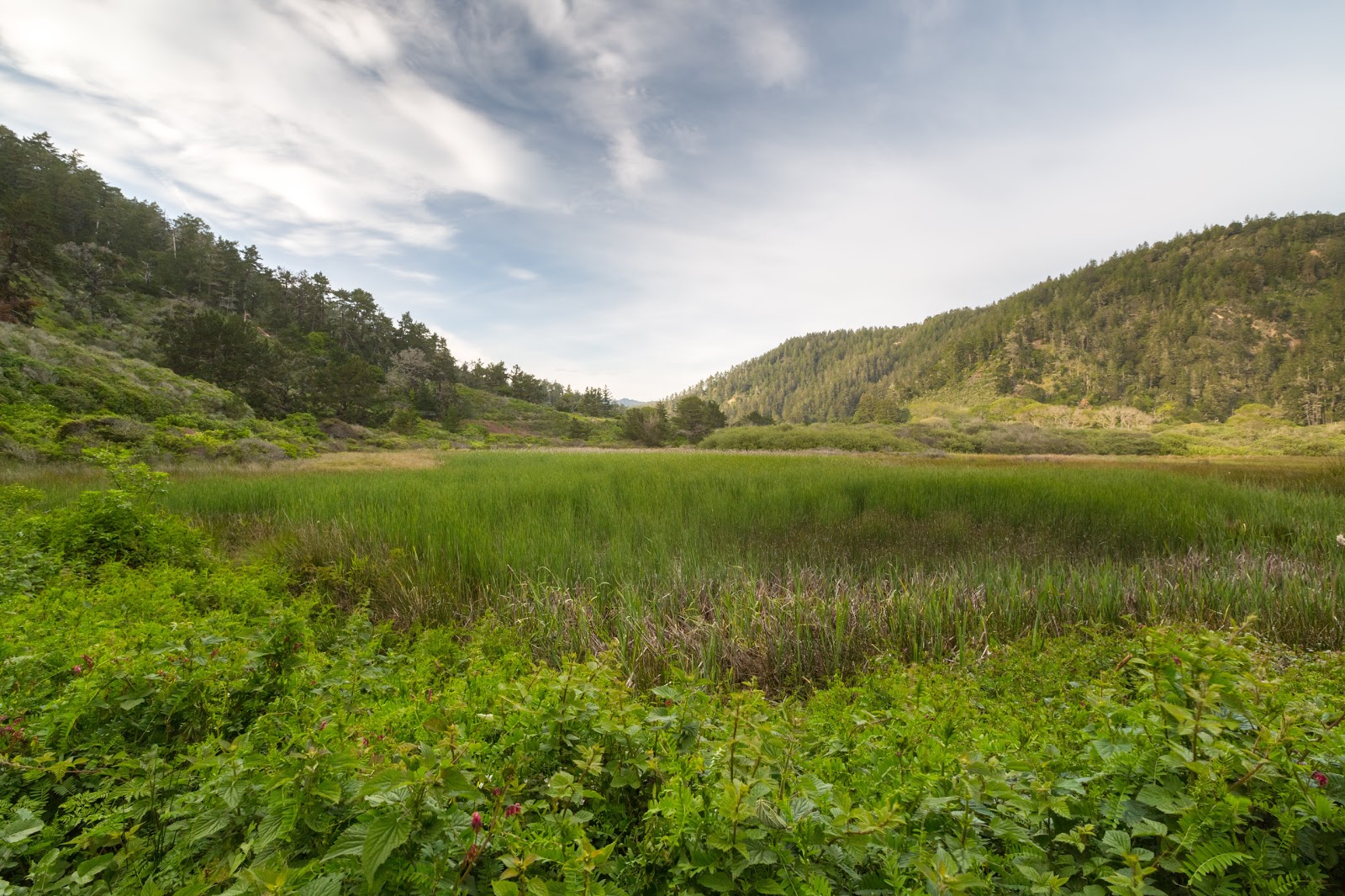 Naturetastic Blog: Skyline-To-The-Sea Trail - Big Basin State Park, CA