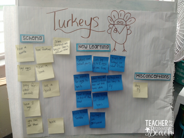Thanksgiving and Turkey Weeks - Teacher by the Beach