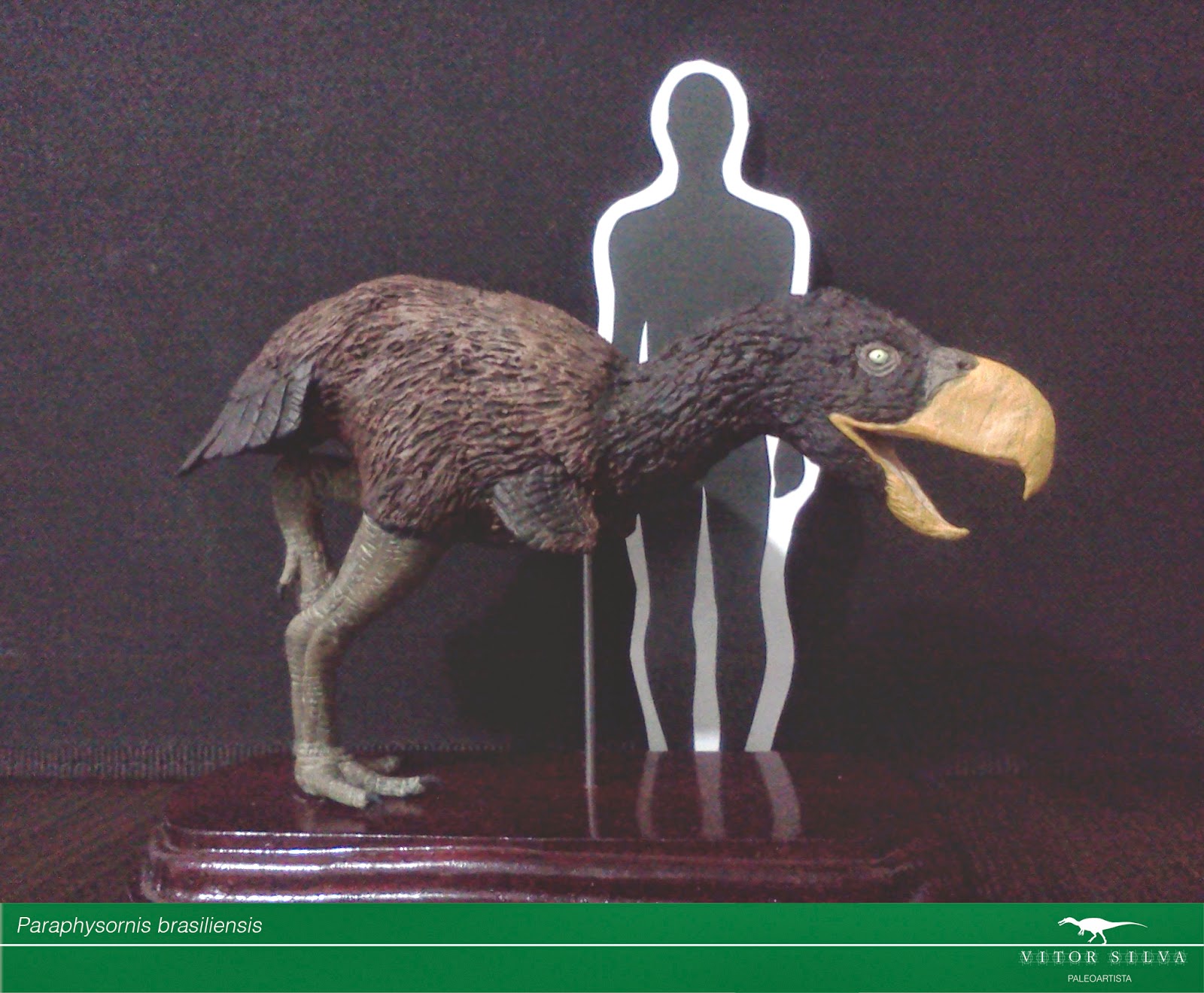 Vitor Silva - Paleoartista: Paraphysornis - Paleo Brasil