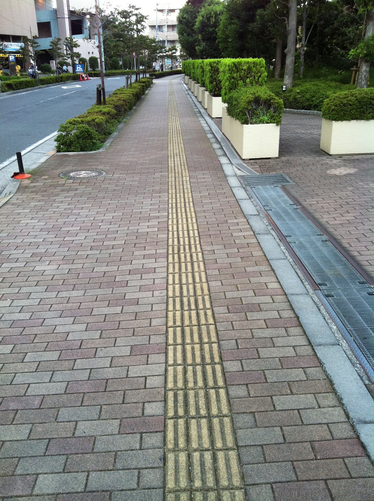 Matthew-san's Tokyo Adventure: Tokyo Street Braille