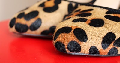 Fashion Architect: A leopard pony that's actually a cow