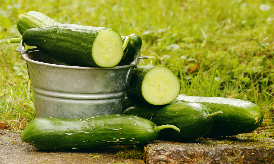 Cucumber Recipes