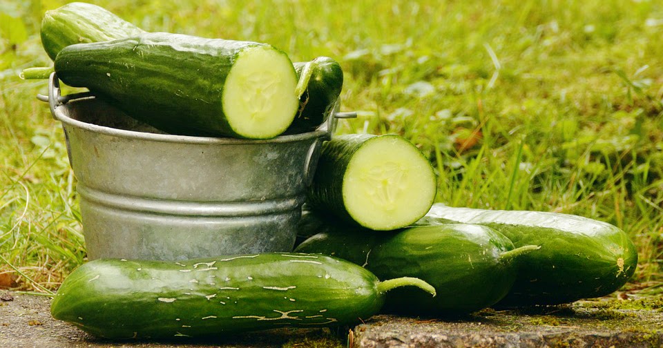 Cucumber Recipes