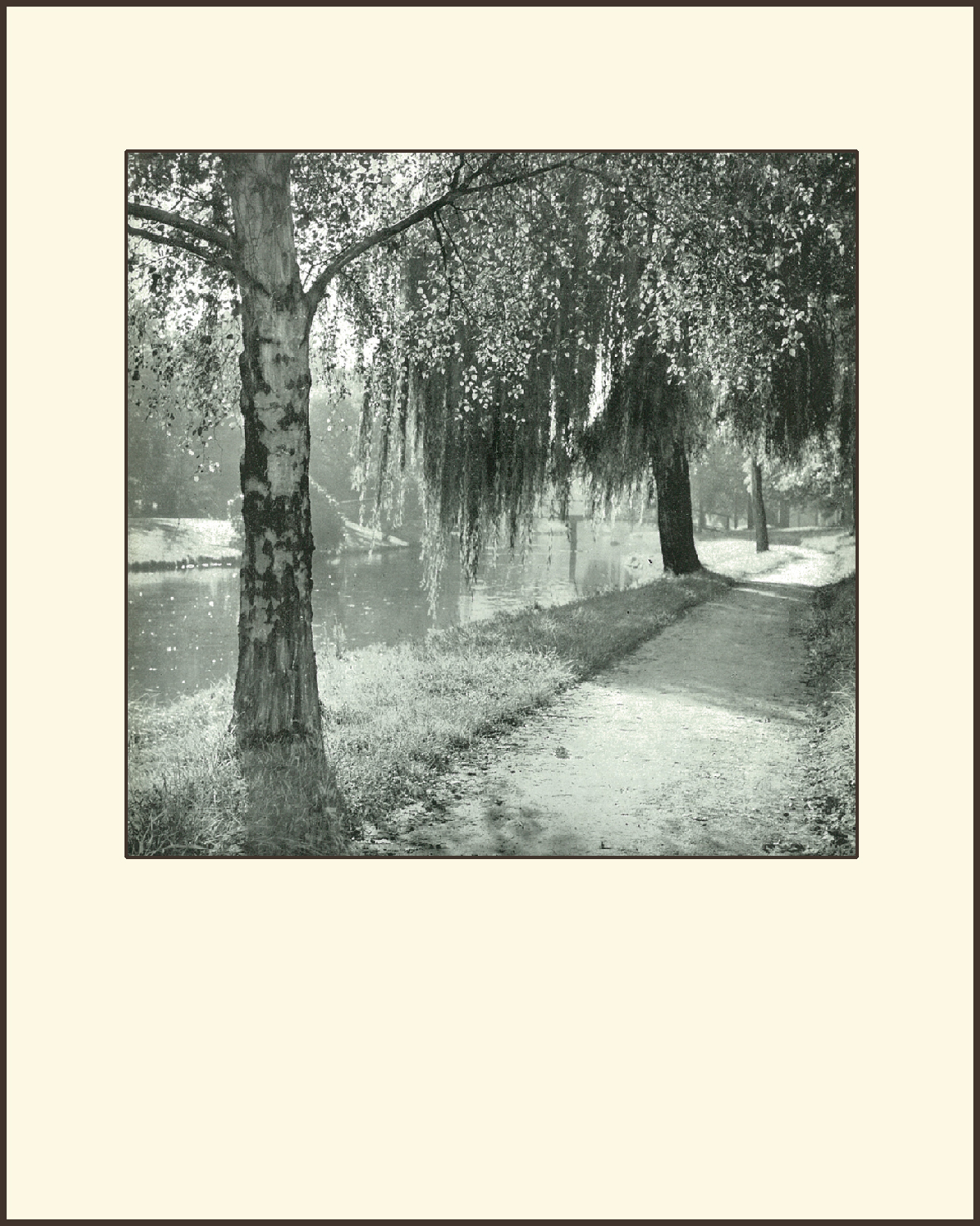 Early New Zealand Photographers: CHANCE, George