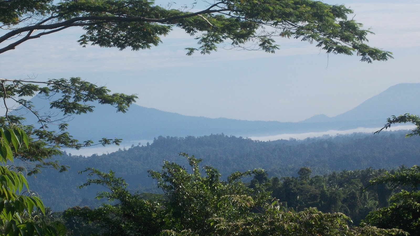 HALMAHERA JUNGLE TREKKING AND DIVE ADVENTURE: HALMAHERA JUNGLE TREKKING ...