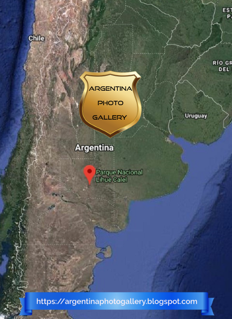 The Lihue Calel Nature Reserve is an authentic oasis that holds many ...