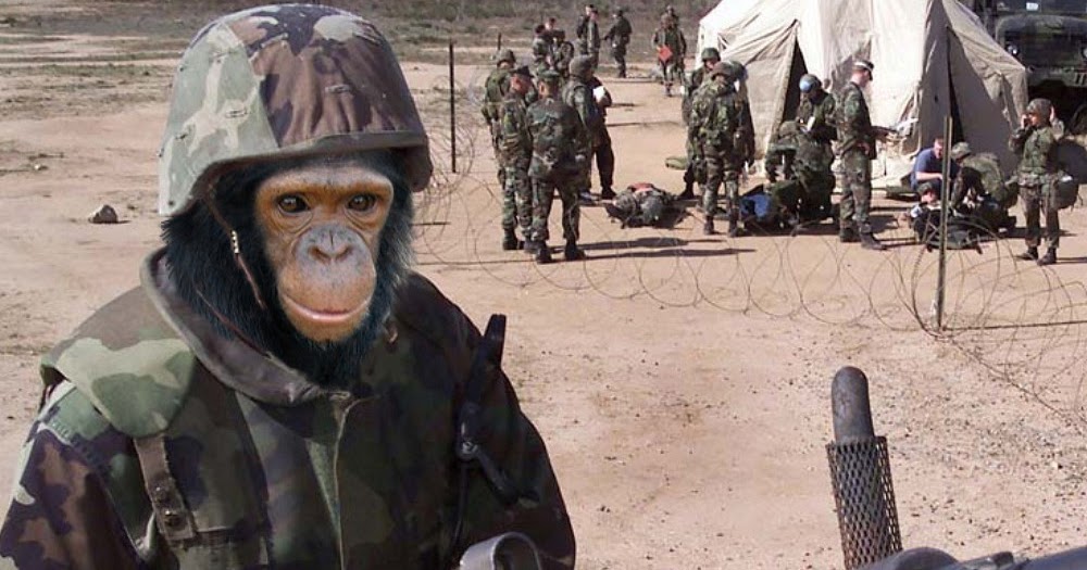 PowerPop: Closed for Monkey Military Maneuvers