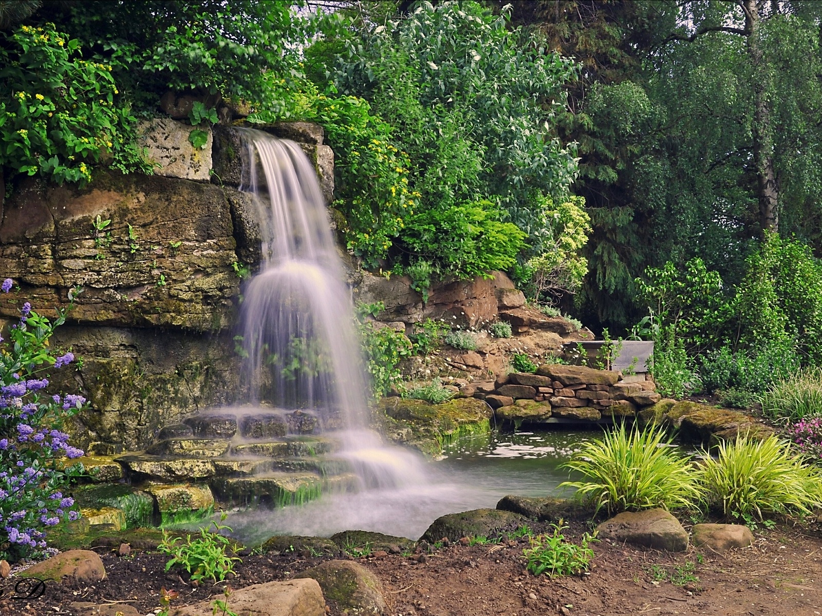 lmágenes del parque - Imagui