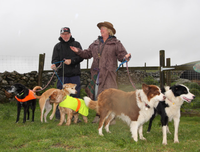 lesleys animal shelter: The Sponsored Dog Walk