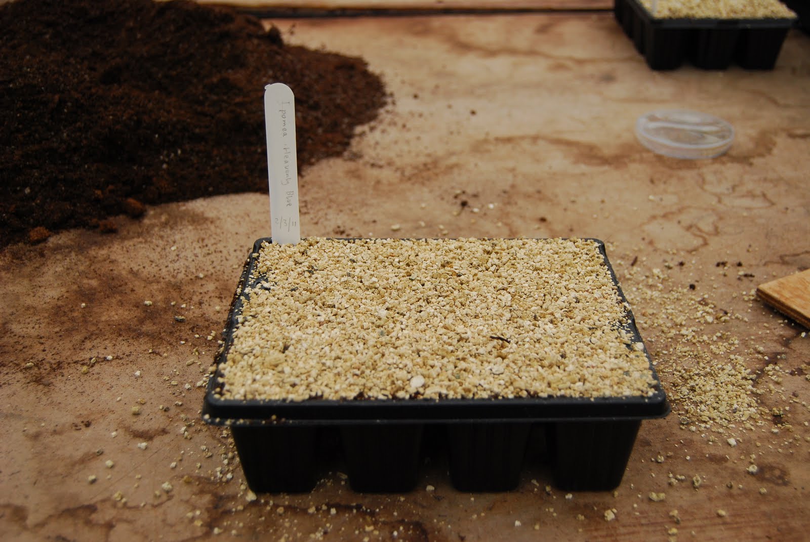 ENGAGING LANDSCAPE: Merrist Wood