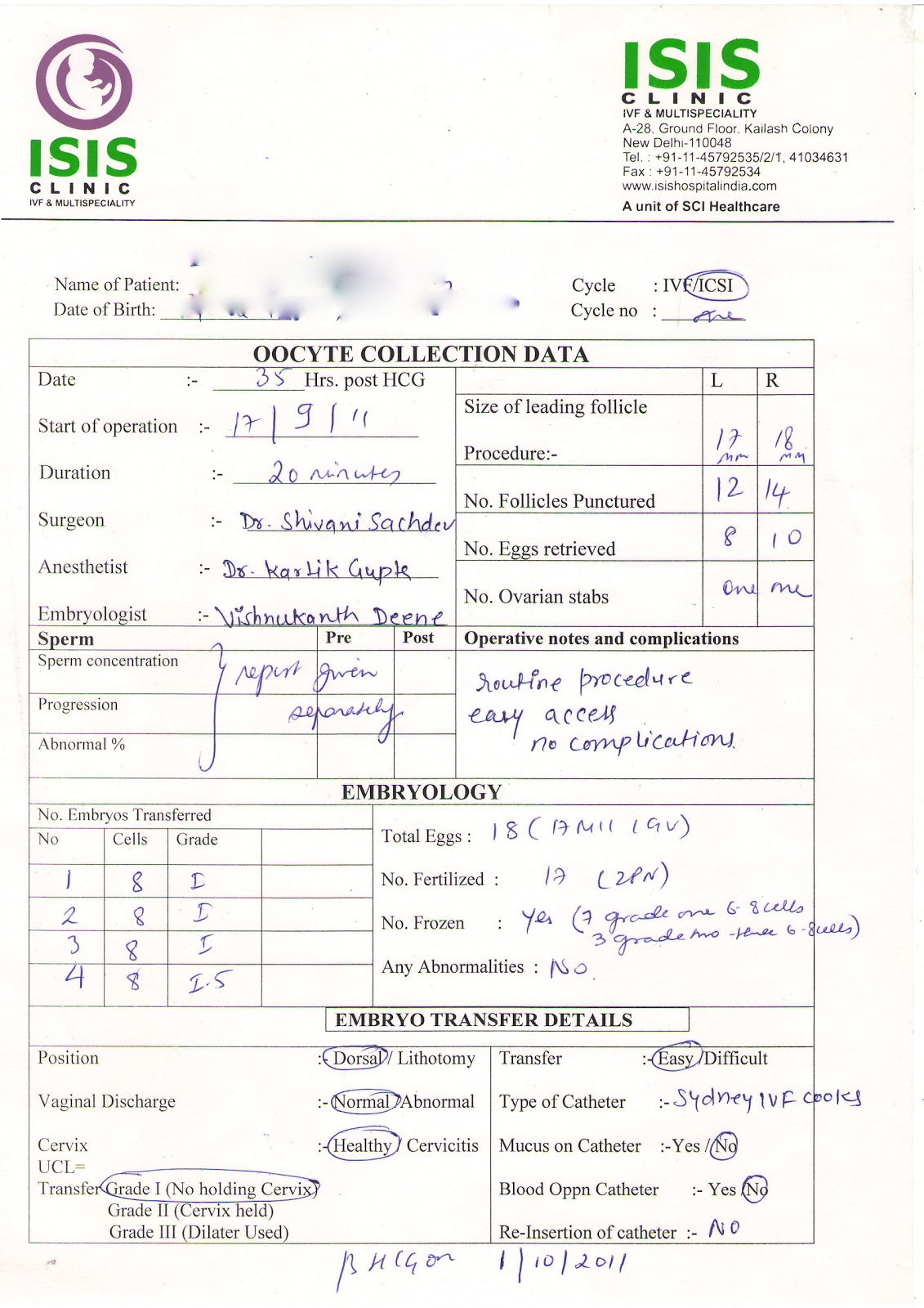 What happens after egg collection or what you need to know about embryos?