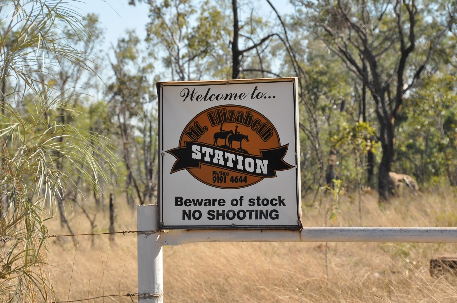 BarbaraTVan: BARBARA'S KIMBERLEY ADVENTURE - THE GIBB RIVER ROAD TO ...