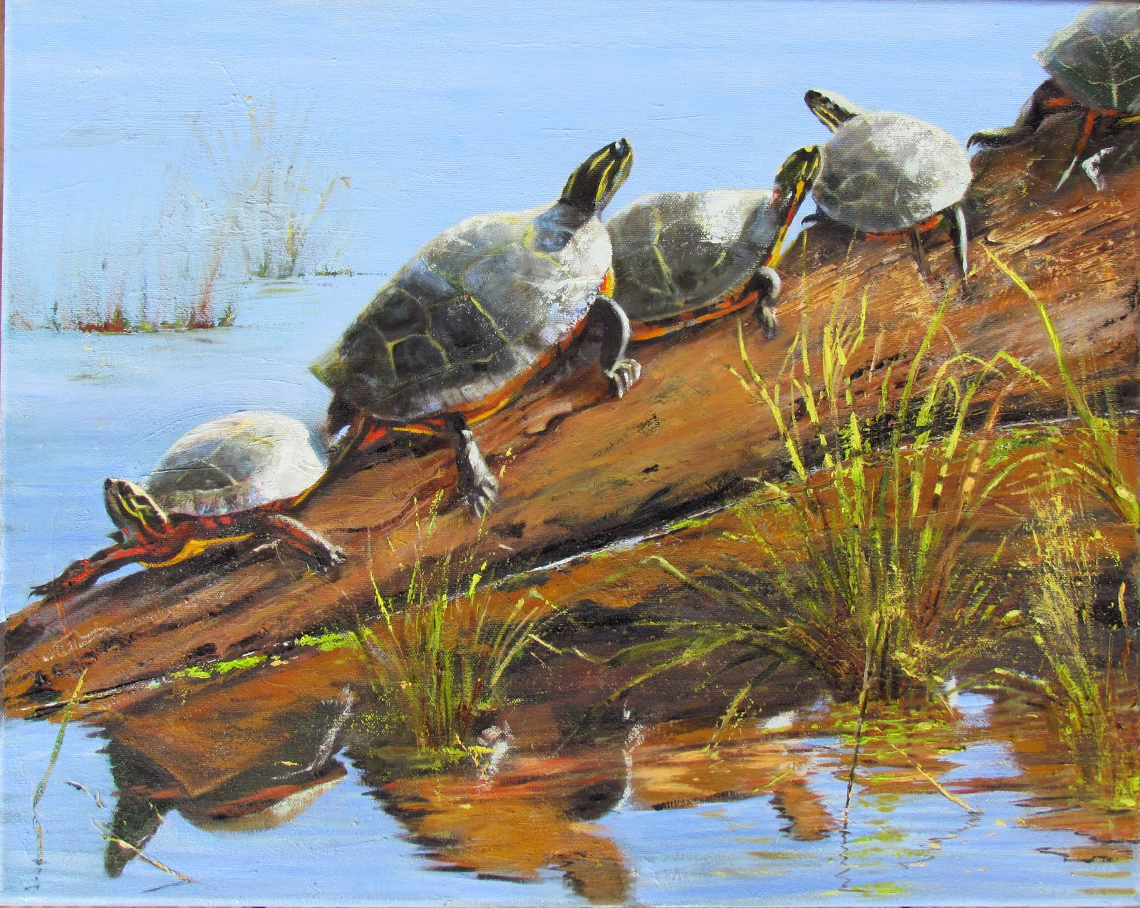 MAUREEN VEZINA OIL PAINTER: Turtles on a Log