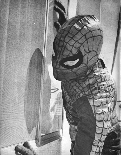 BOOKSTEVE'S LIBRARY: The First Spider-Man Movie?