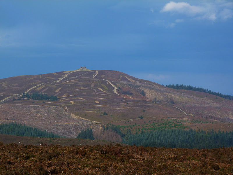 A Welsh man walking.: #60.MOEL FAMAU,MOEL FENLLI Linear walk.21-11-11.