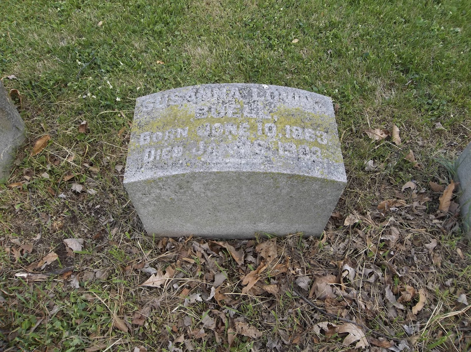 Travels of a Hobgoblin Taphophile: Dr. Starling Loving - Green Lawn ...