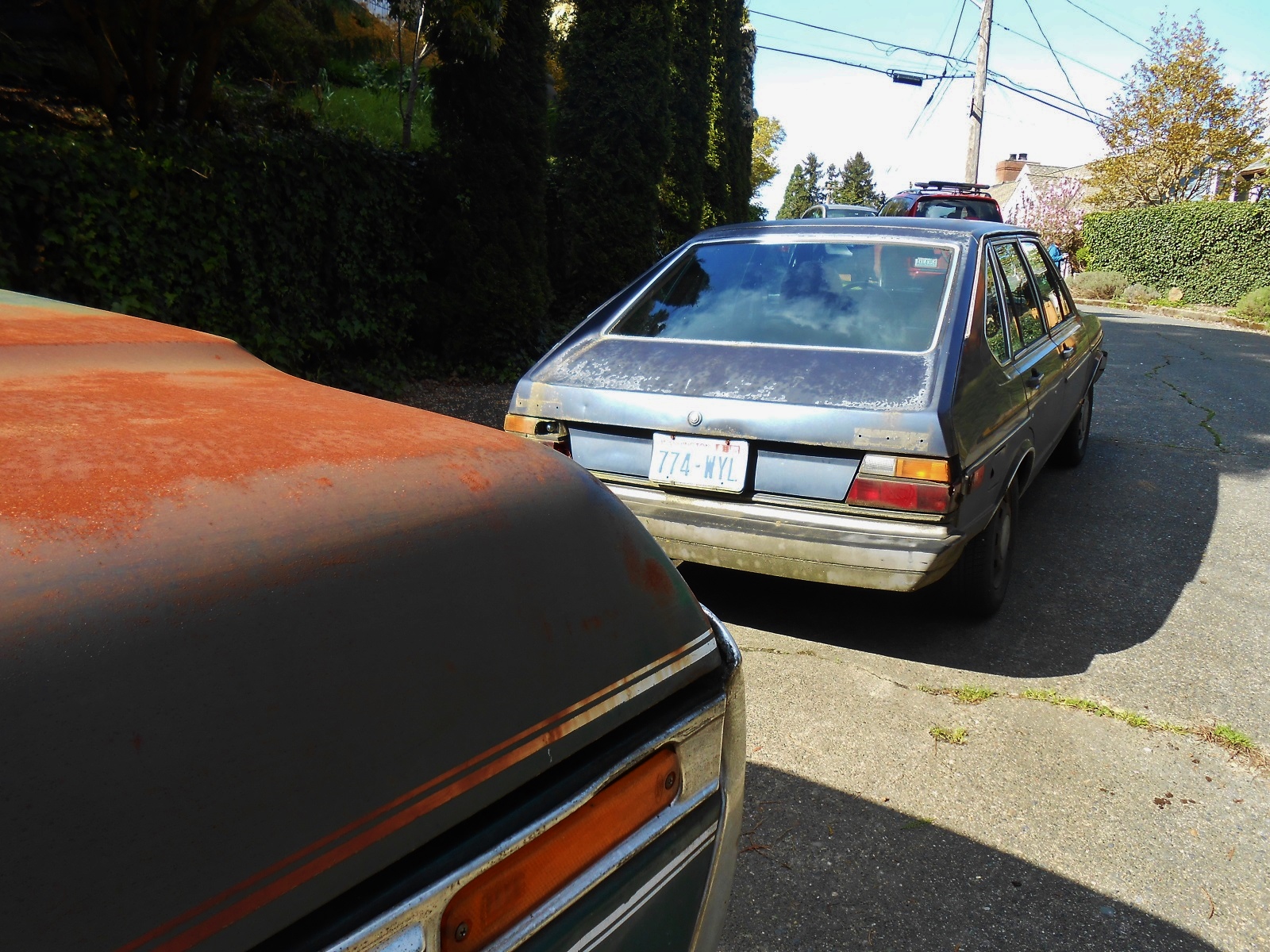 Seattle's Parked Cars: 1979 VW Dasher 5-Door