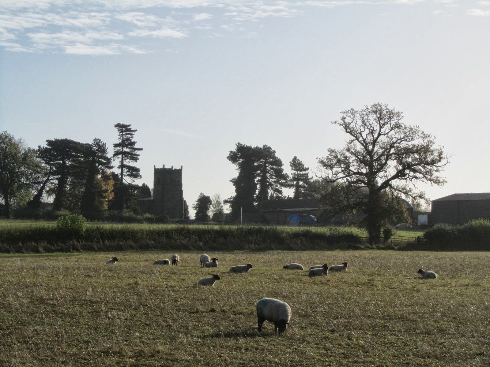 Narrowboat Armadillo: Park homes and pylons.