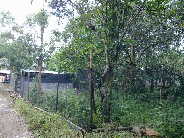 ar gemilang farm: lakaran reban ayam baru