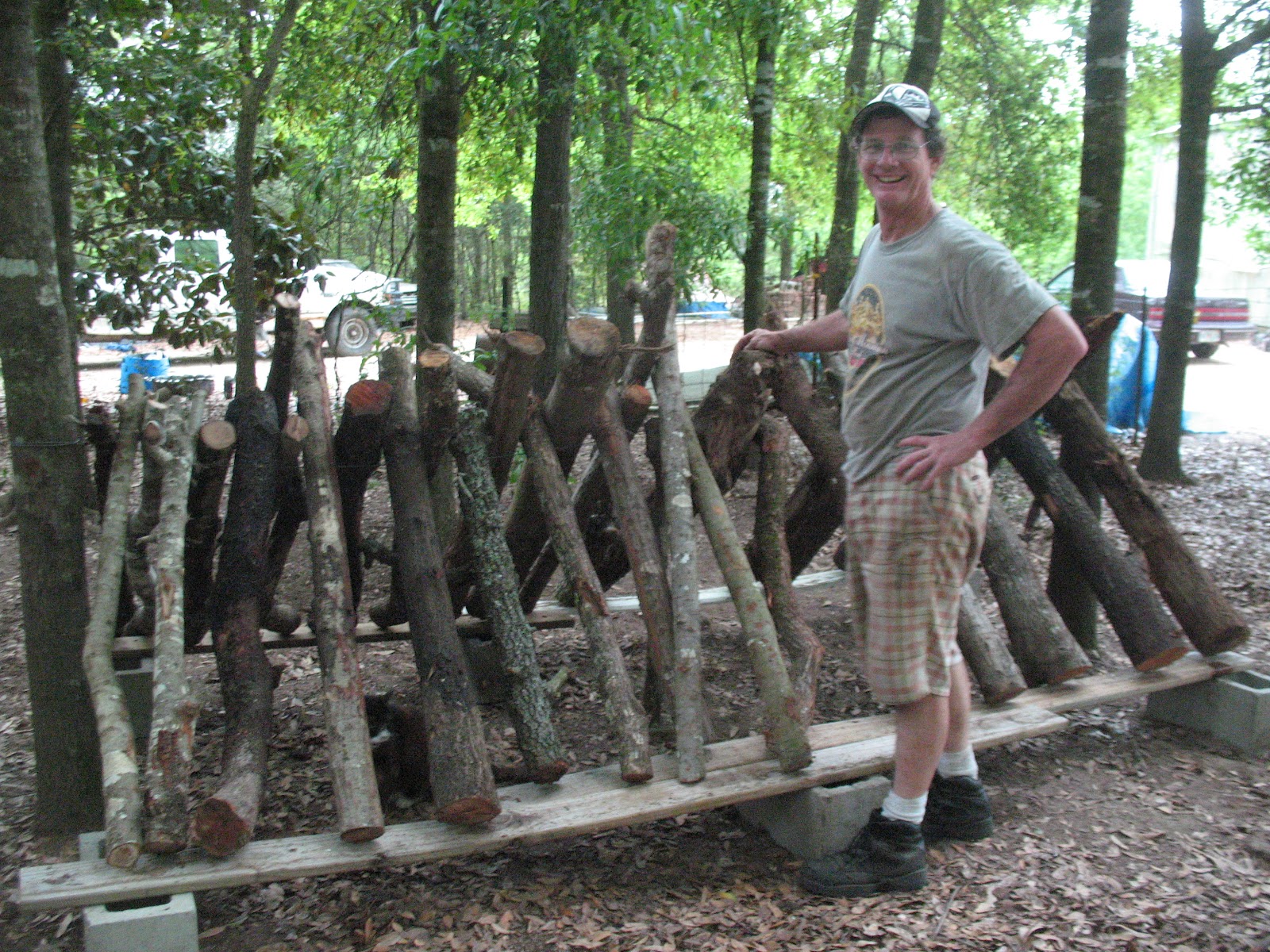 Homestead Life: Planting Shiitake Mushrooms