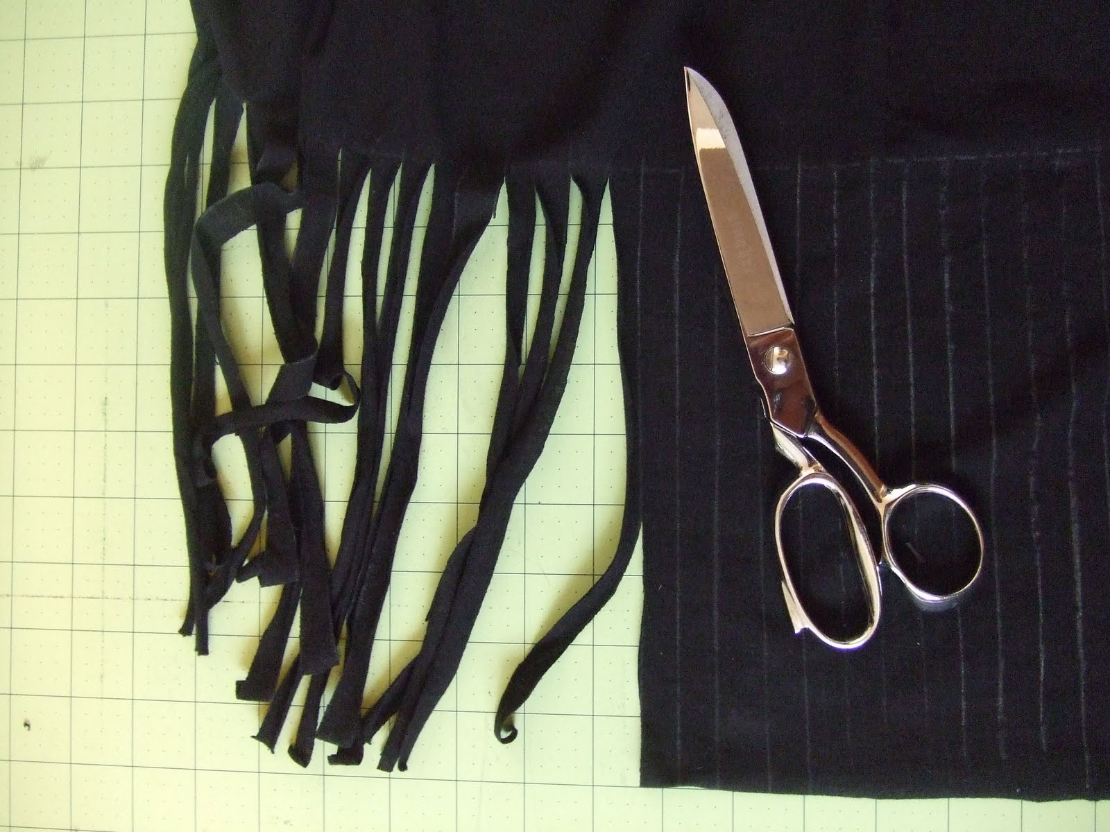 Dominant Traits: DIY: Fringe