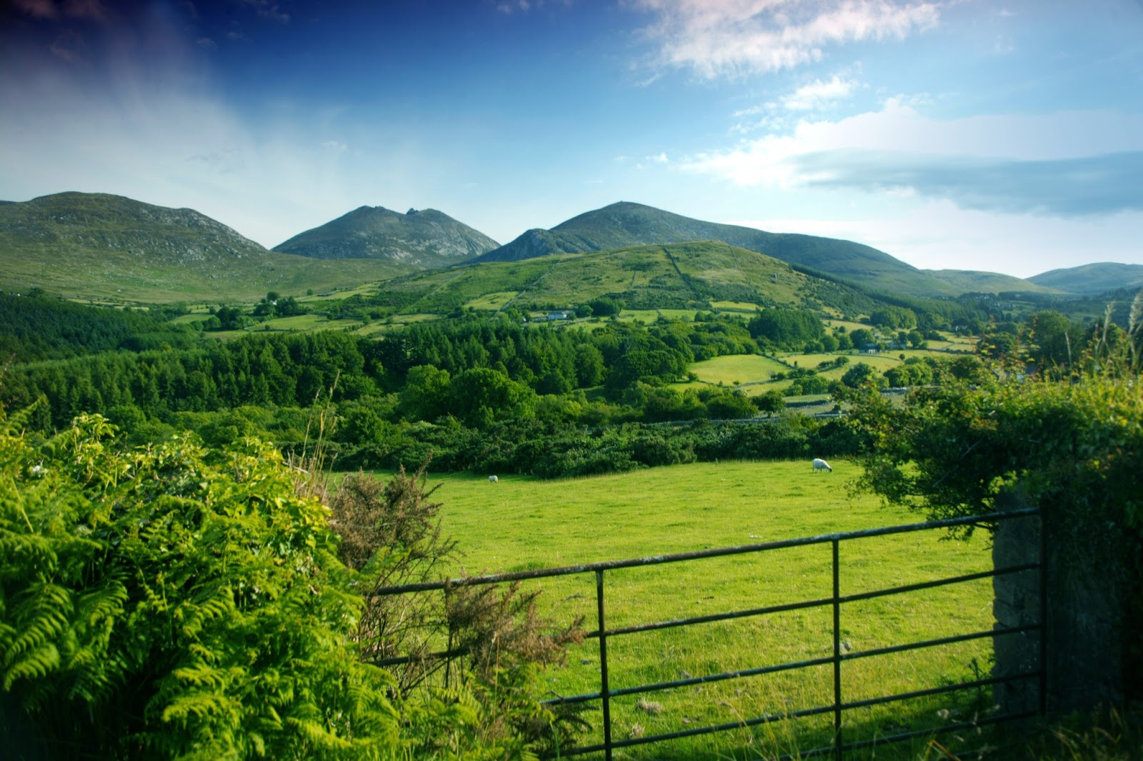 Mountain Pictures: Mountains Of Mourne