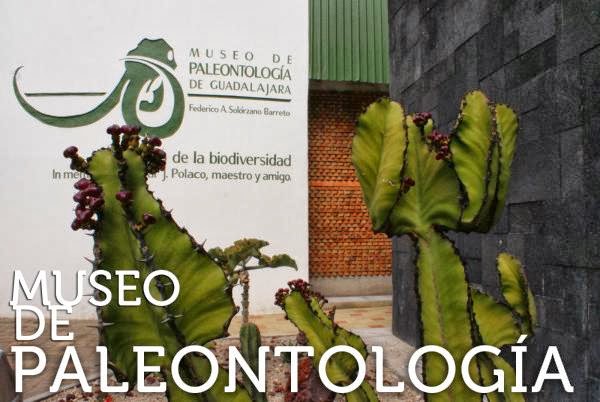 Museos y Cultura en México: Museo de Paleontología “Federico A. Solórzano”