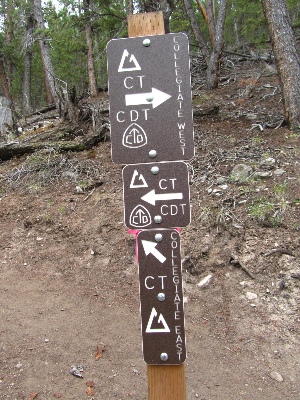 Tomcat's Outdoor Adventures: Backpacking the Collegiate Loop