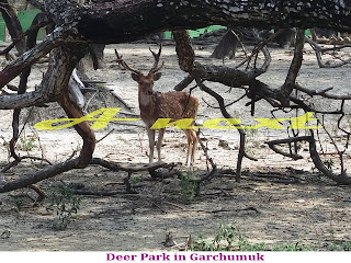 Anext: Garchumuk, Howrah