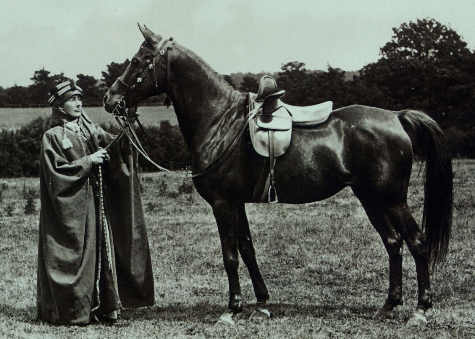 Musings from the Mare's Nest: Horses, People, and Pop Culture: Lady ...