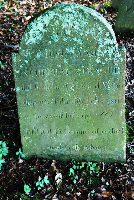 Goldsberry Pickin's: The Fascinating Saga of the Sprague Family