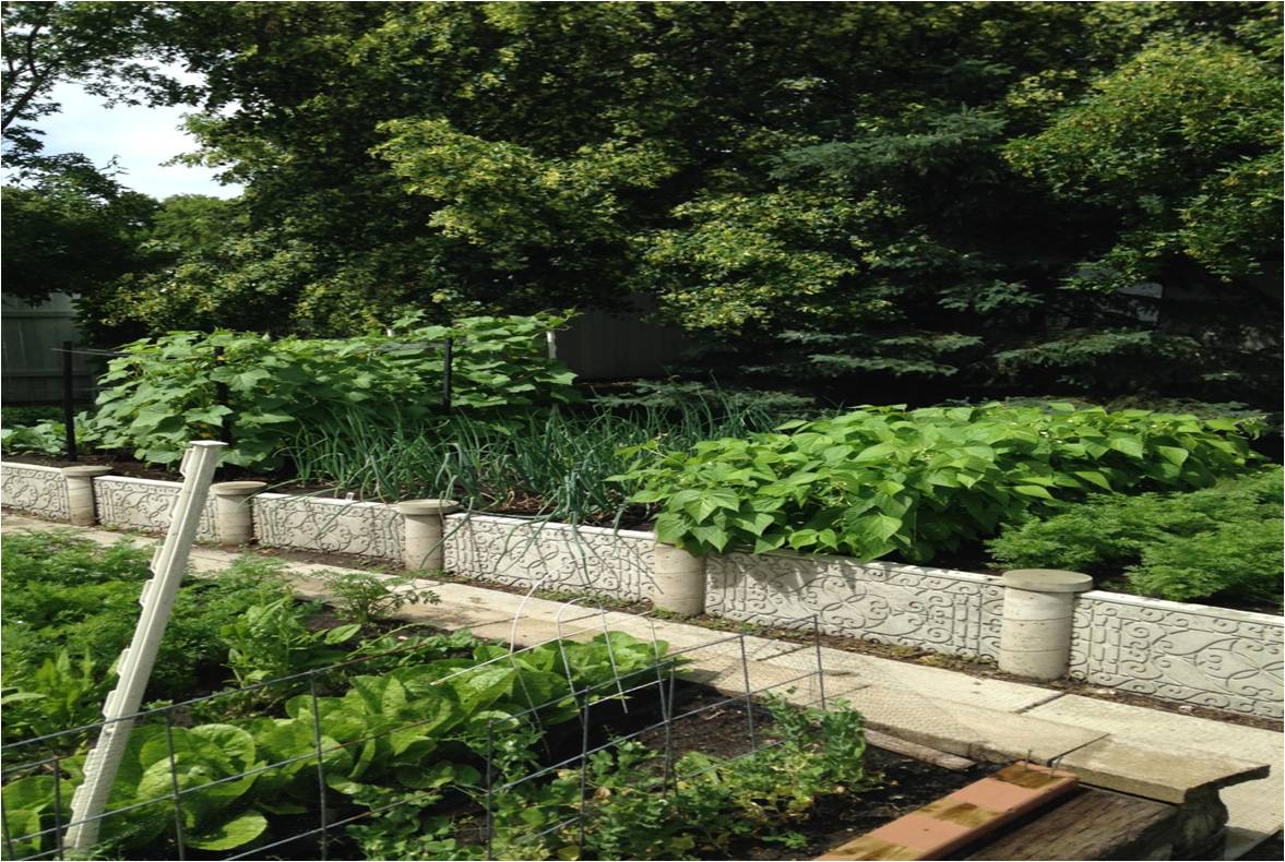 Raised Concrete Garden Bed