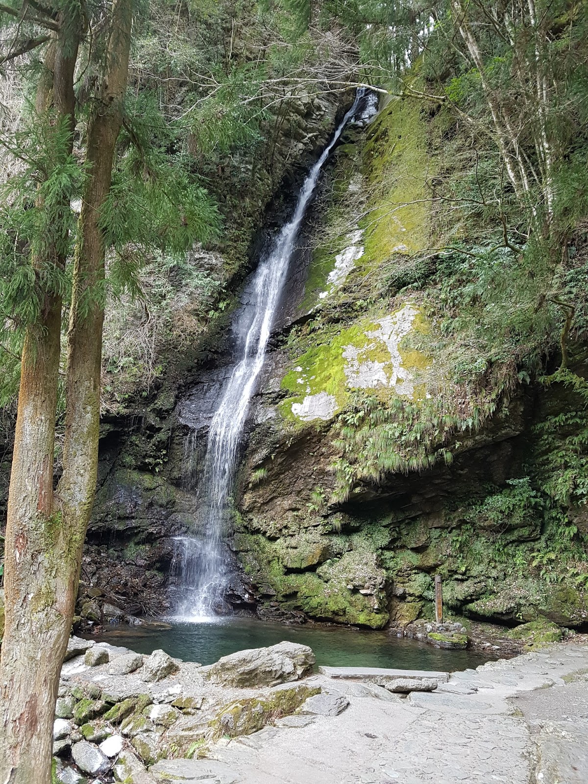 Devi's Japan Travels Part 4: First Time Shikoku | MILKCANANIME