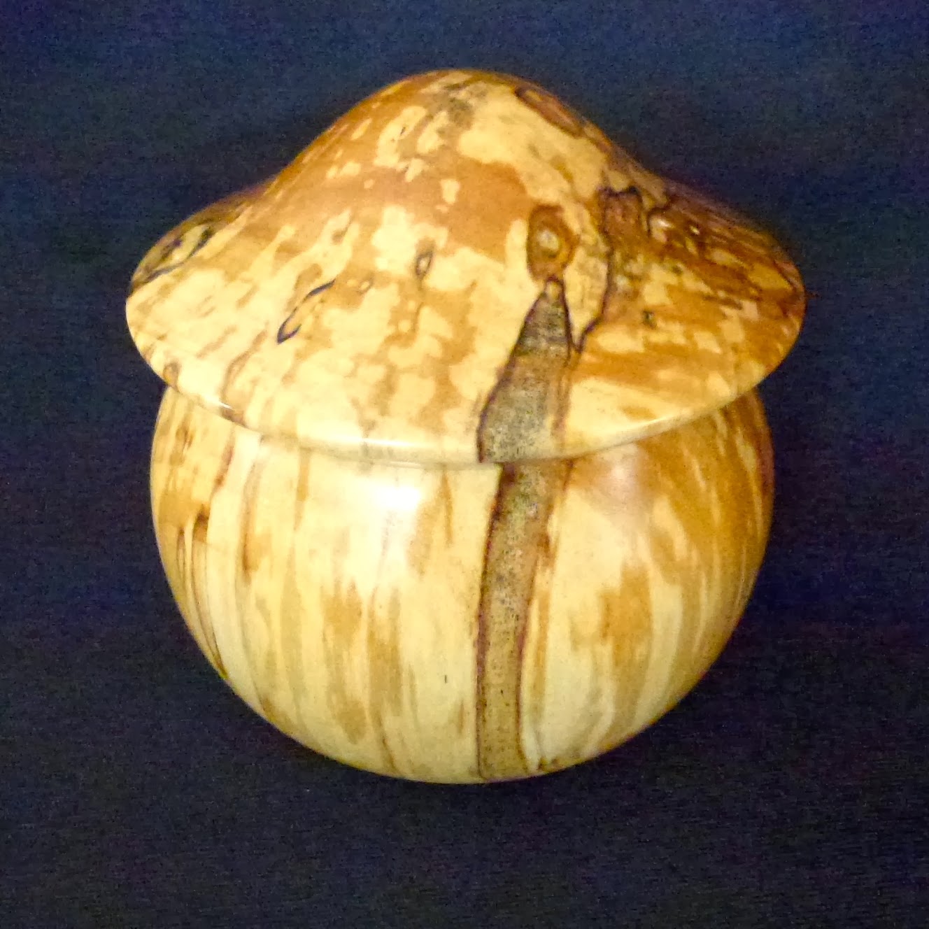 Remember The Trees: 2013