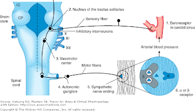Antihypertensive Agents ~ Drugs & Therapeutics