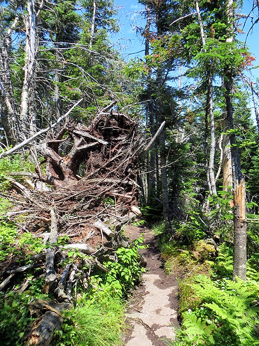 Hiking in the White Mountains: Great Range Traverse